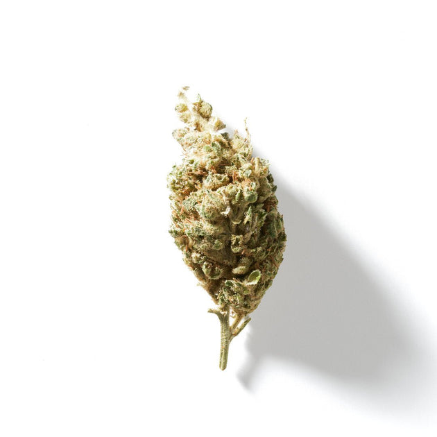 BudMother Girl Scout Cookies (GSC) HHC Flower