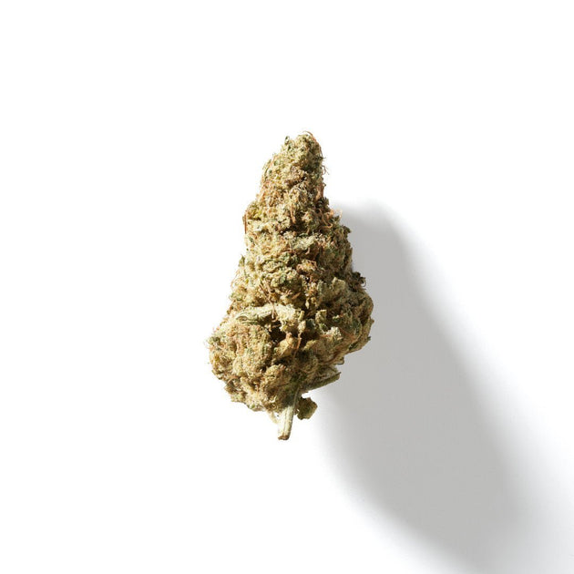 BudMother Gelonade THCA Flower