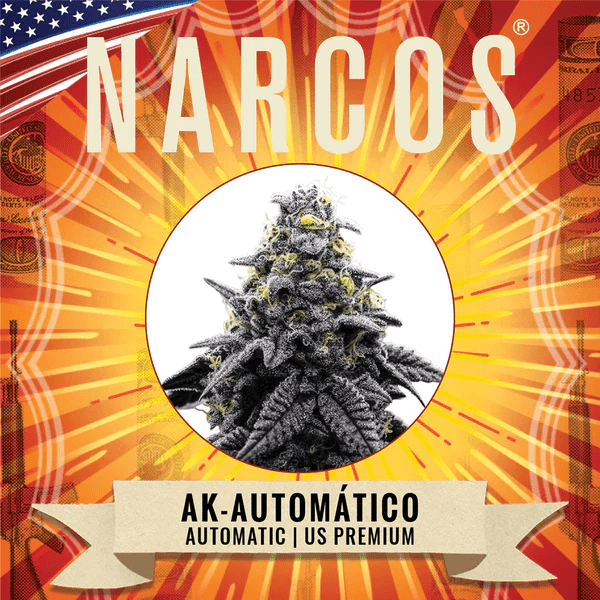 Narcos AK Automatico Autoflowering (3 seeds pack)
